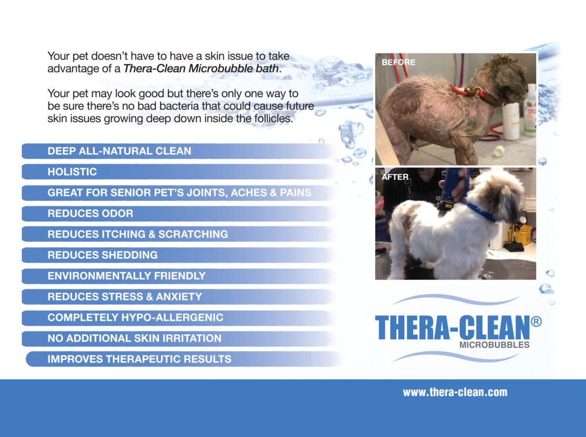 Four Paws Only Inc. – Services for our furry friends